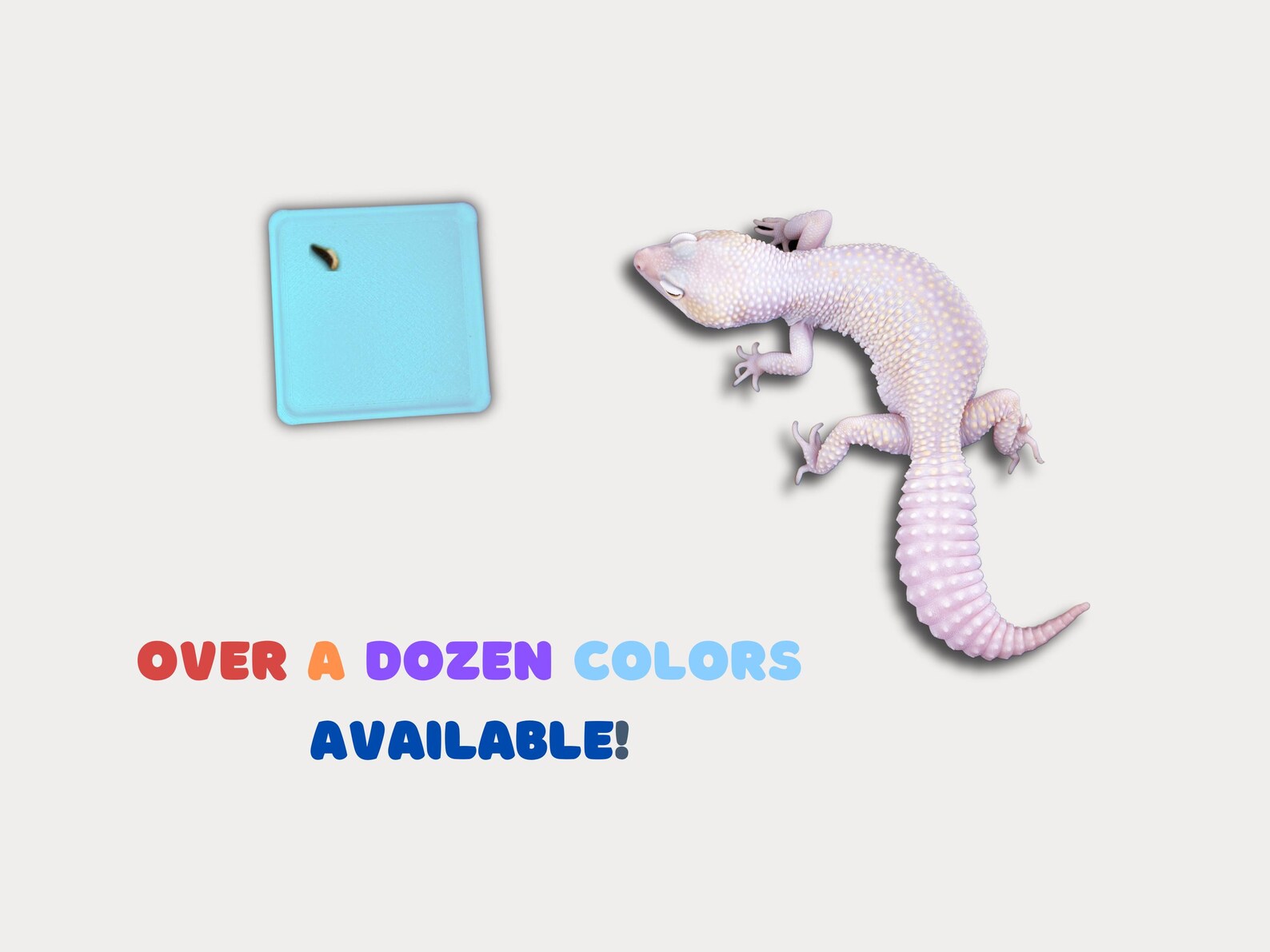 Leopard Gecko Throne, Gecko Litter Box, Premium Reptile Litter Tray for ...