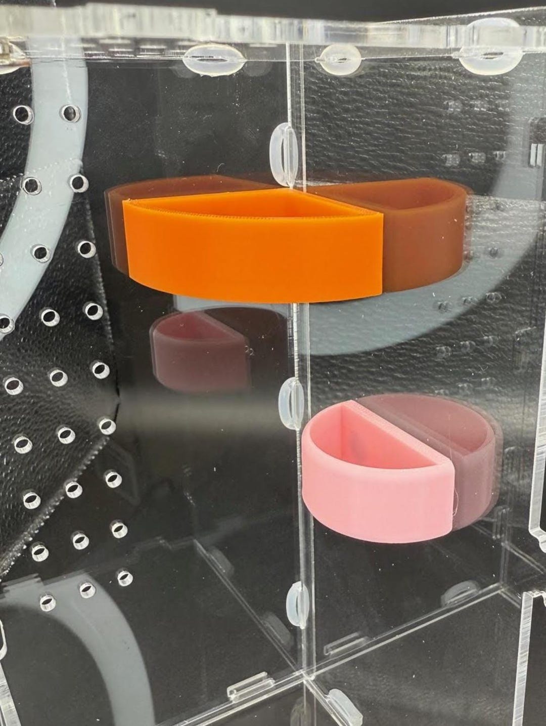 Magnetic Feeding Ledges for Jumping Spider, Custom Enclosure Decor for ...