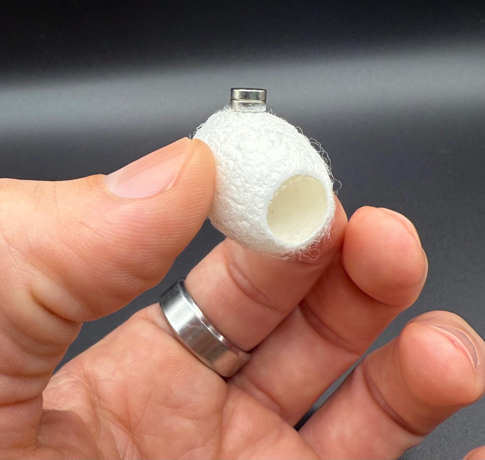 Natural Silk Cocoon With Magnet for Jumping Spider, Custom Enclosure ...
