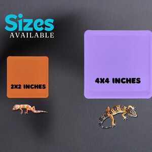 Leopard Gecko Throne, Gecko Litter Box, Premium Reptile Litter Tray for ...
