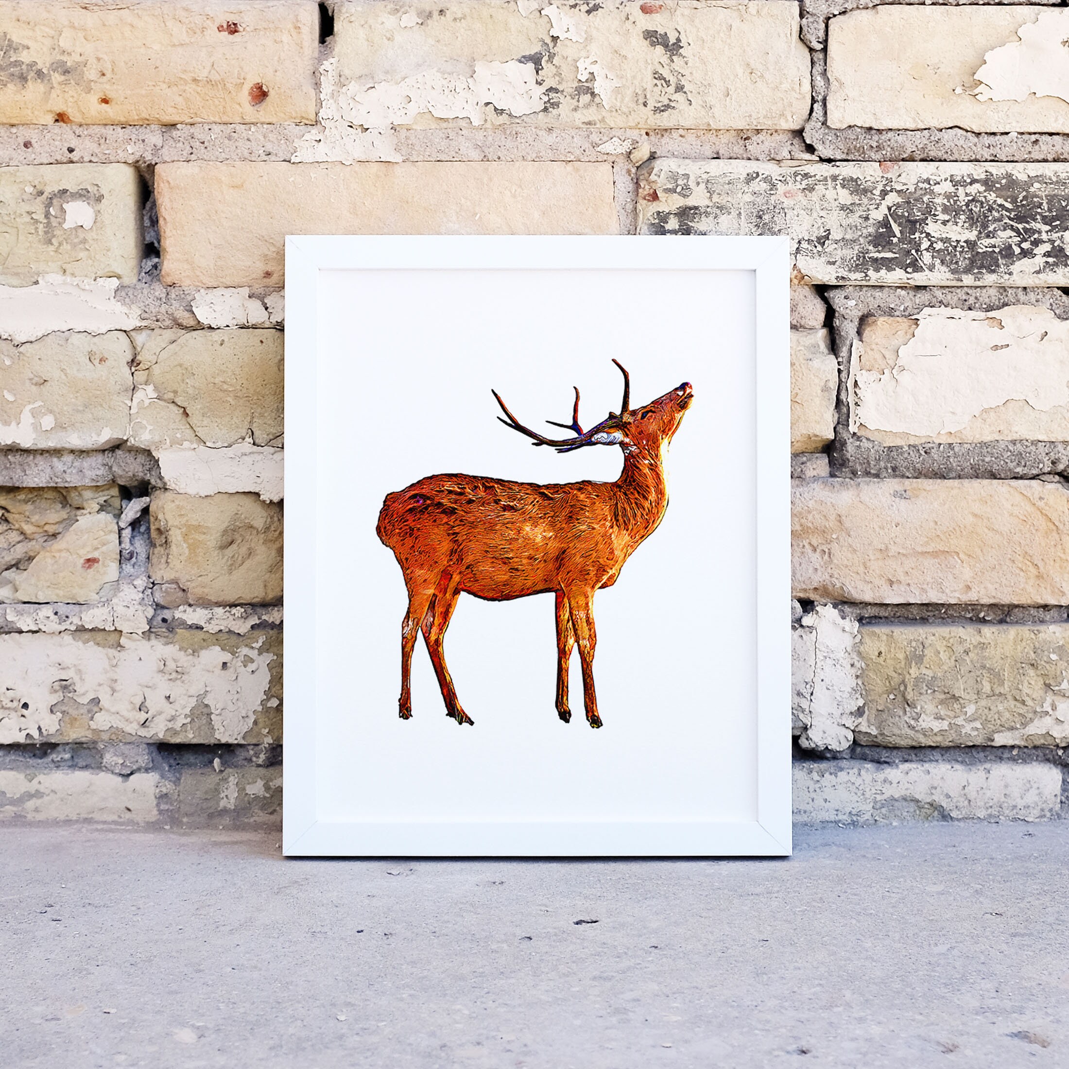 Deer Picture Deer Poster Deer Art Print Wildlife Print | Etsy