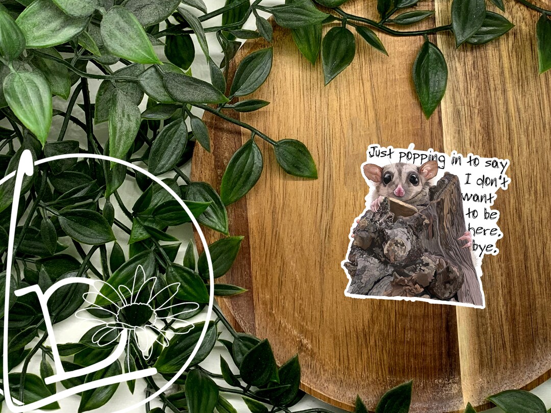 Hello Goodbye Sticker // Funny // Slogan // Introvert // I Dont Want to ...