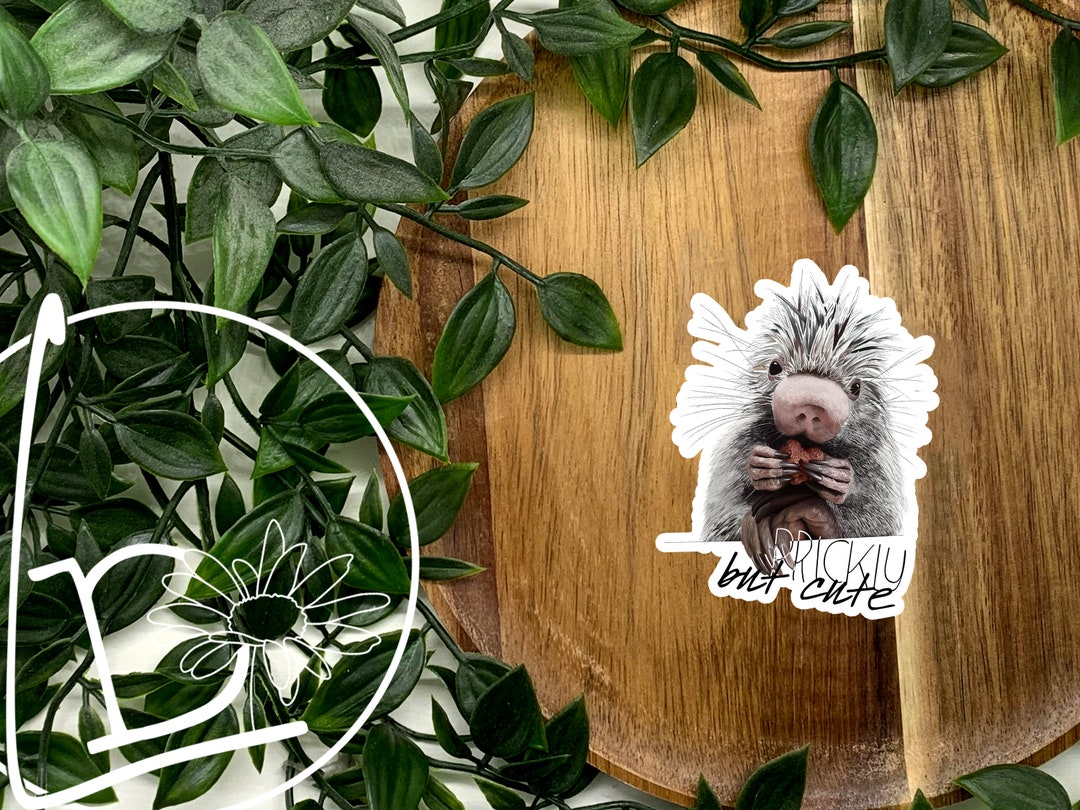 Prickly but Cute Sticker // Funny // Porcupine // Humour // Cute ...