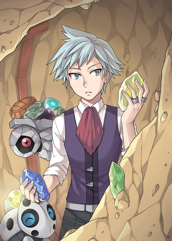 Pokemon Art Book garnet Red - Etsy