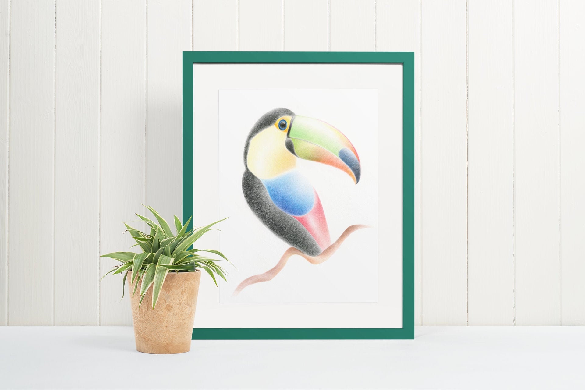 Tukan Kunstdruck / Tukan Poster / Tukan Zeichnung / Tukan Zeichnung ...