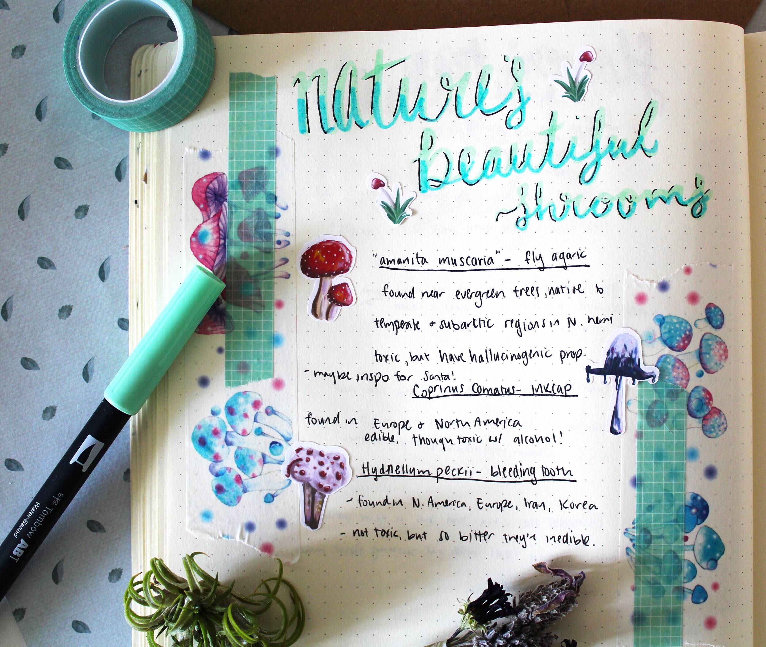 Mushroom Sticker Sheet- Cute Nature Bujo Stickers - Planner Stickers - Etsy