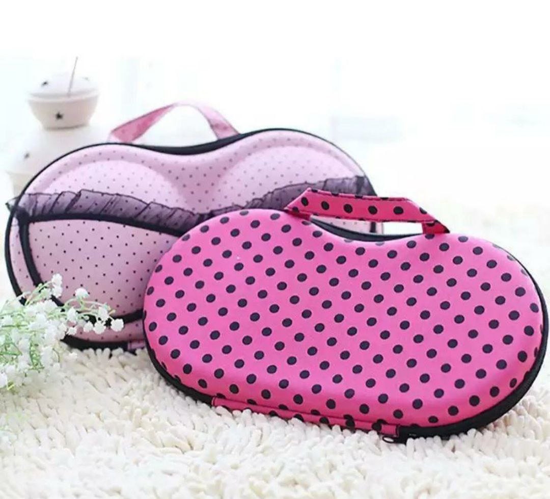 Padded Bra Bag Panty Lingerie Case Undergarments Case Panty and Bra ...