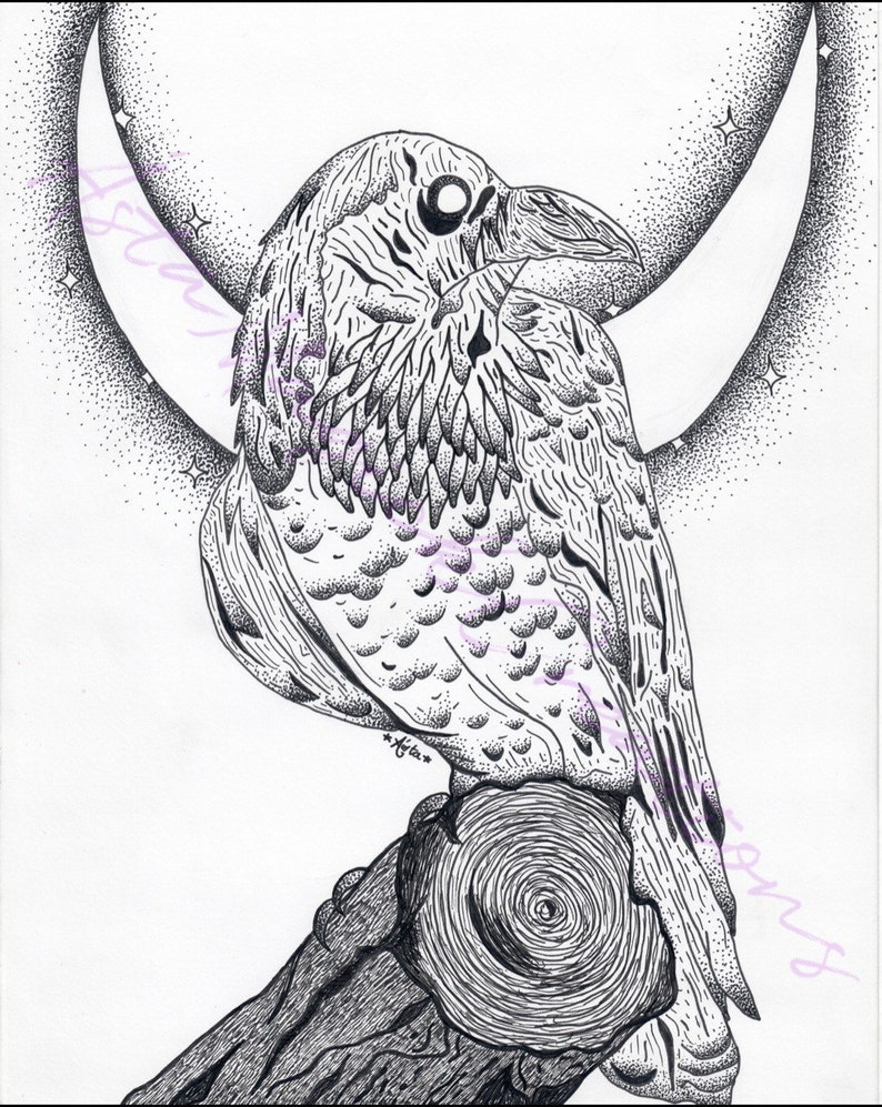 Crow and Moon Ink Pen Drawing Print - Etsy
