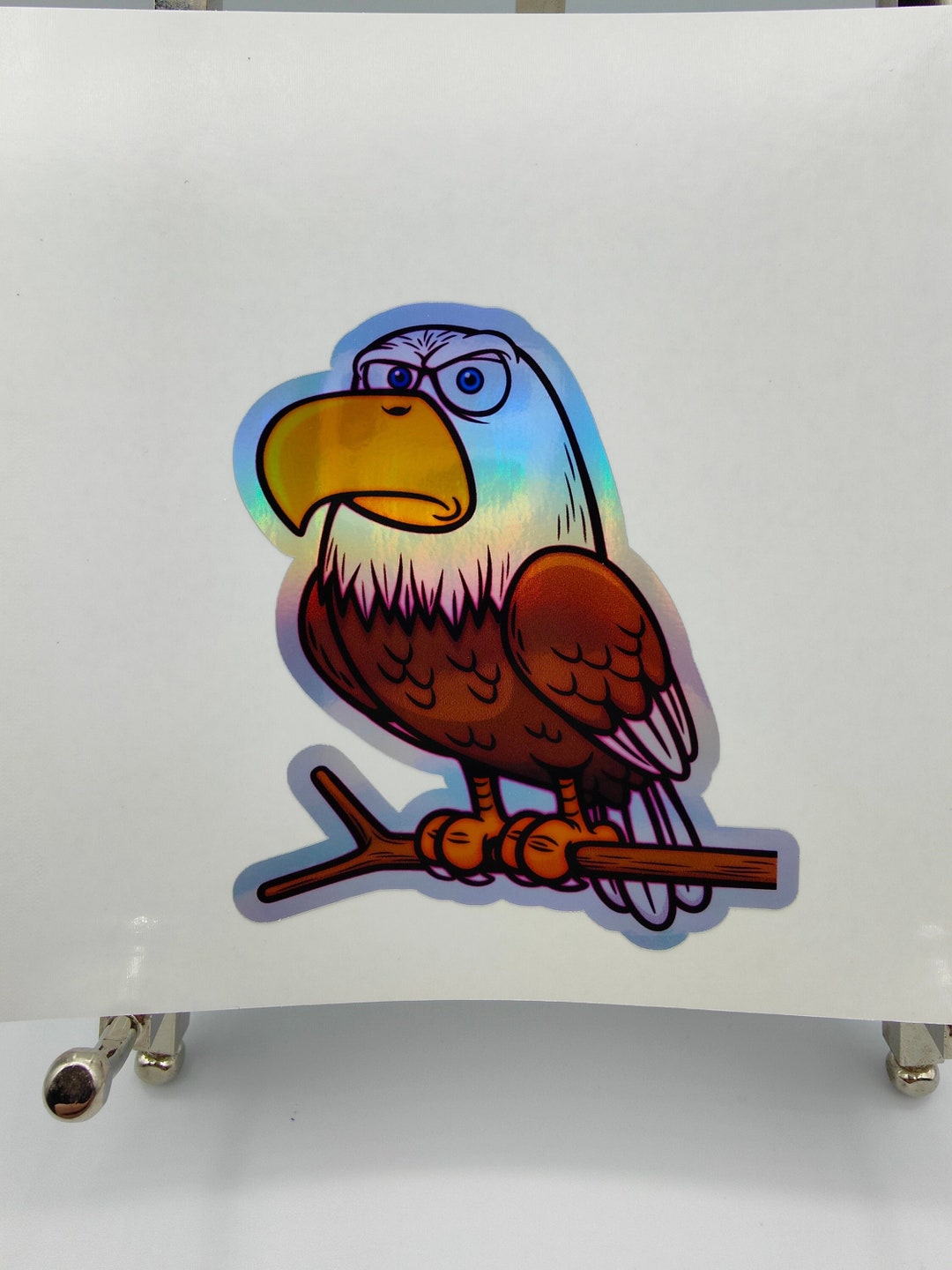 Stern Looking American Eagle, Funny, Miserable, Aviary, Comic Birds ...