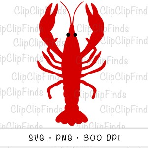 Crawfish SVG Crawfish Boil Vector Cut File Crawfish PNG - Etsy