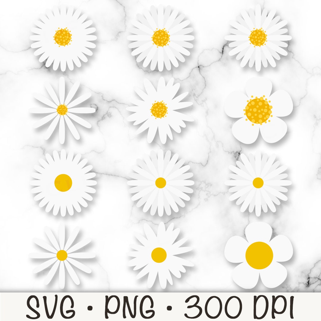 Daisy Clipart, Daisy Flower, Retro, Bundle Pack, Groovy, Daisy SVG ...