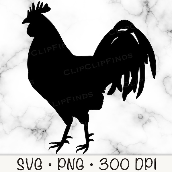 Cocky Svg - Etsy