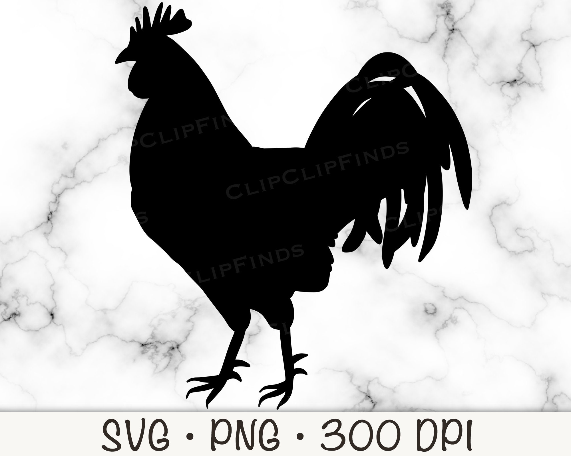 Gallo SVG Vector Cortar Archivo y PNG Fondo Transparente Sublimación ...