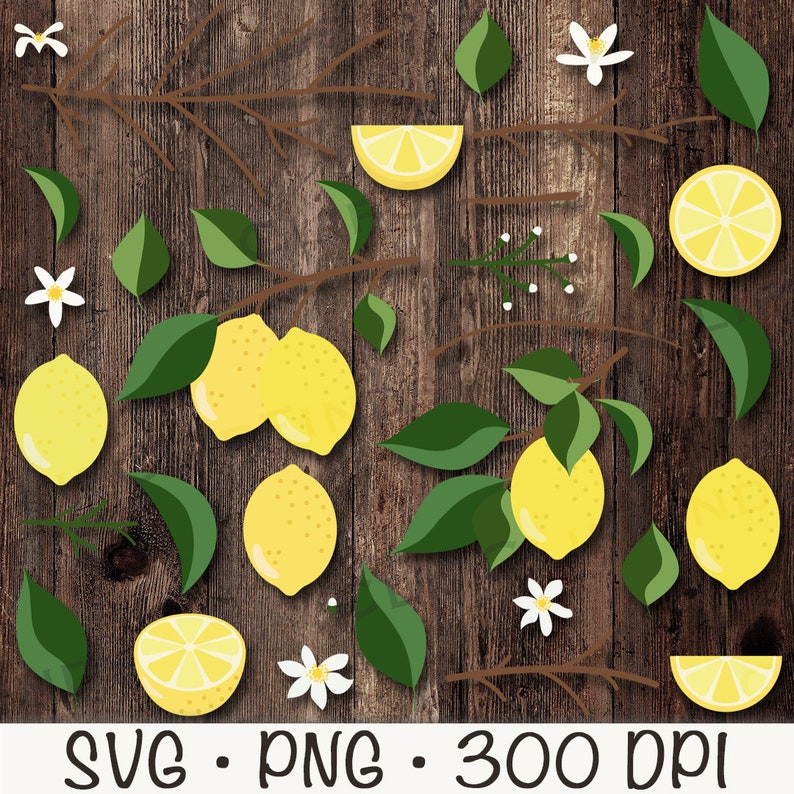 Lemon Clipart Bundle Pack, Lemon Branch SVG, Lemon Elements, DIY, Half ...