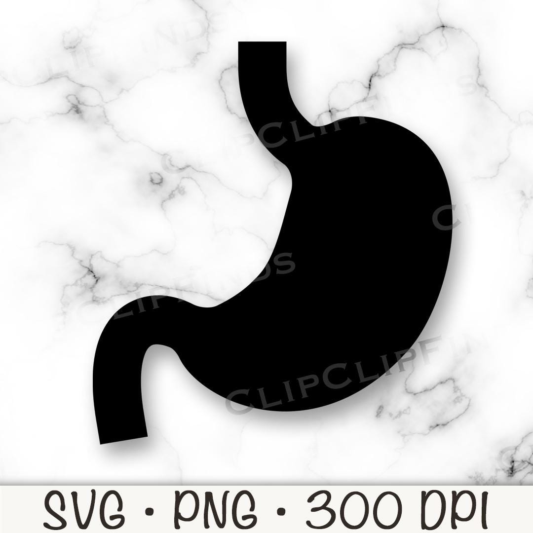 Stomach SVG, PNG, Silhouette, Organ, Digestive System, Clipart, Vector ...