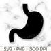 Stomach SVG, Stomach Clipart, Vector Digestion Icon Cut File for Cricut ...