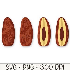 Dates SVG, Date Fruit PNG, Dates Clipart, Ramadan, Digital Download - Etsy