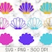 Seashell SVG PNG Clipart: Colorful Sea Life Graphics (digital Download ...