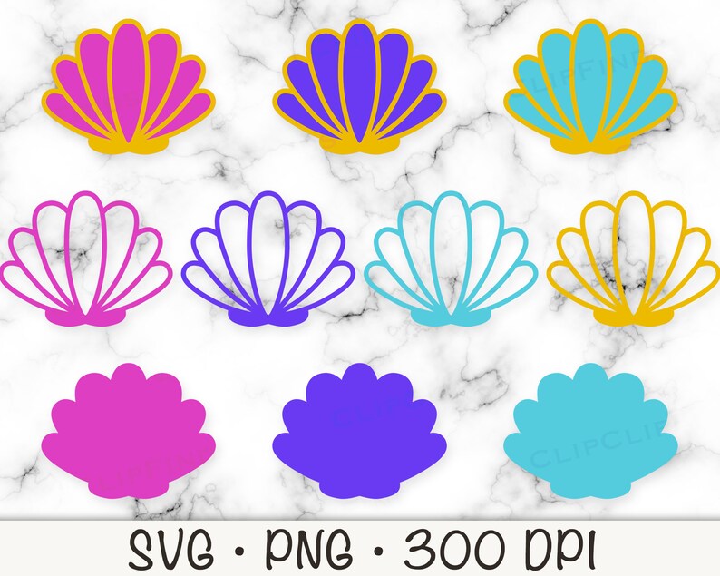 Seashell SVG PNG Clipart: Colorful Sea Life Graphics (digital Download ...