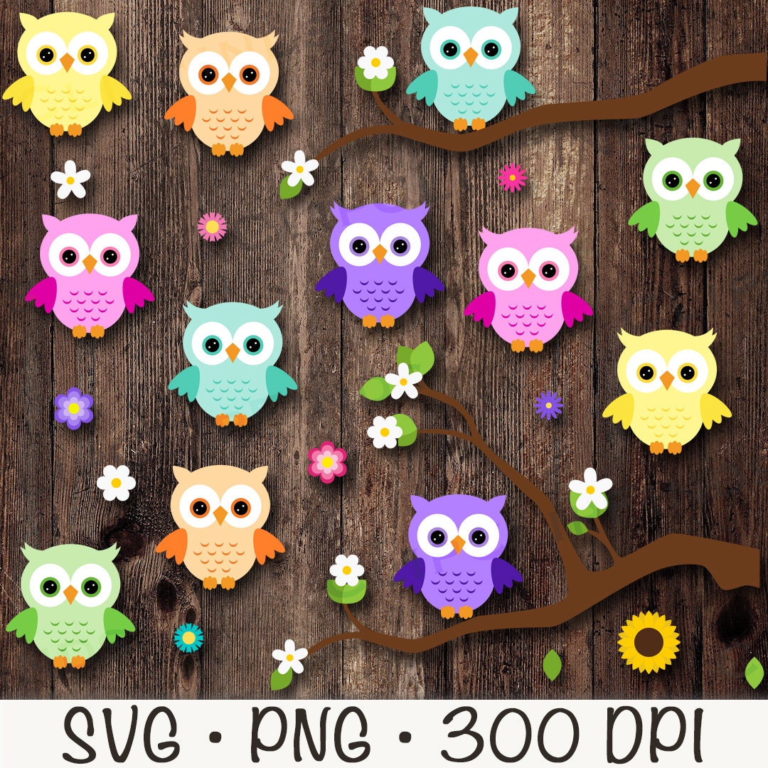 Owl Bundle Pack, Owl SVG, Owl PNG, Owl Clipart, Cute Owl, Daisy Flower ...