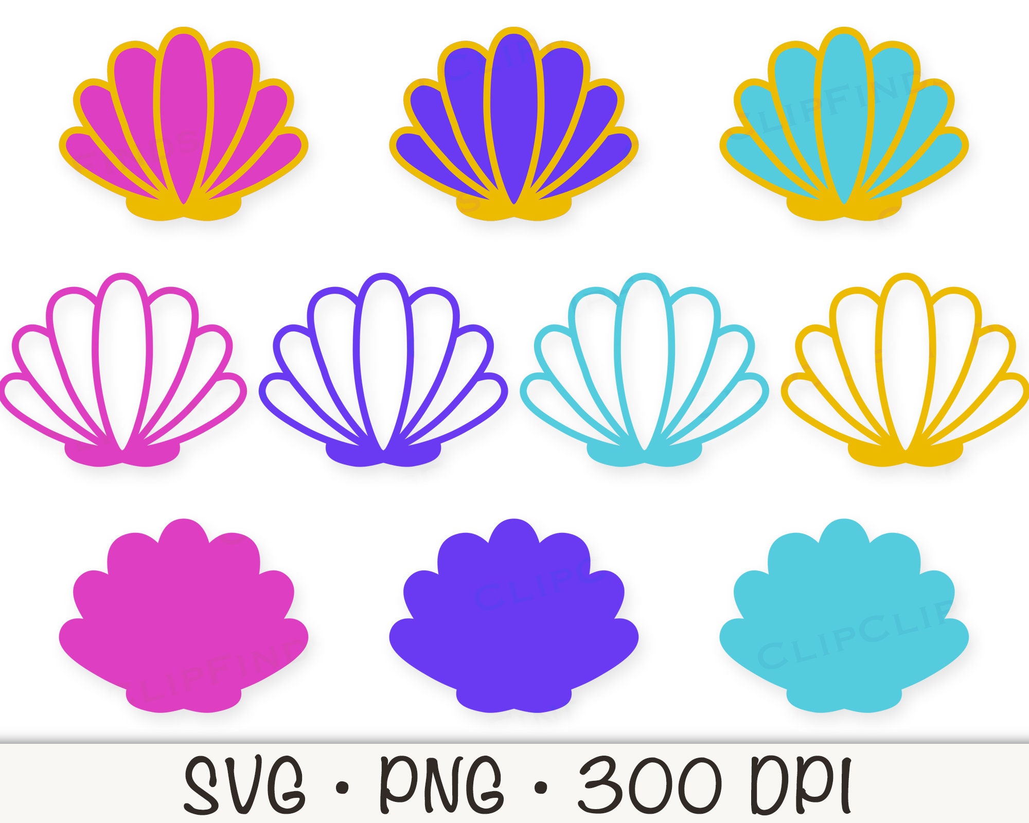 Seashell SVG PNG Clipart: Colorful Sea Life Graphics (digital Download ...