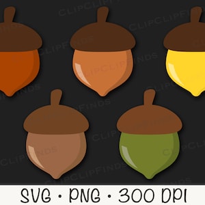 Acorn, Acorn Clip Art, Fall, Acorn Bundle, Assorted Colors, SVG, PNG ...
