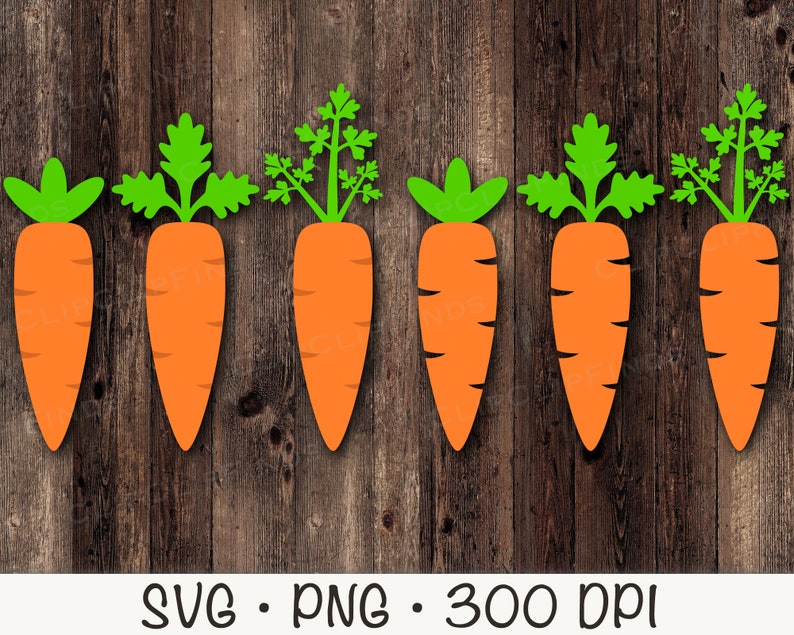 Carrot SVG Vector Cut File and PNG Transparent Background - Etsy