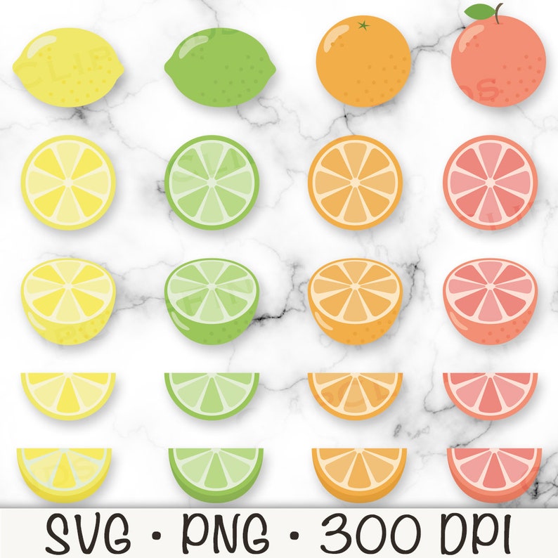Citrus Clipart Bundle Pack, Citrus SVG, Citrus PNG, Orange, Grapefruit ...
