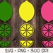 Lemon SVG, Lime SVG, Pink Lemon, Bundle Pack, Icon Symbol, Vector Cut ...