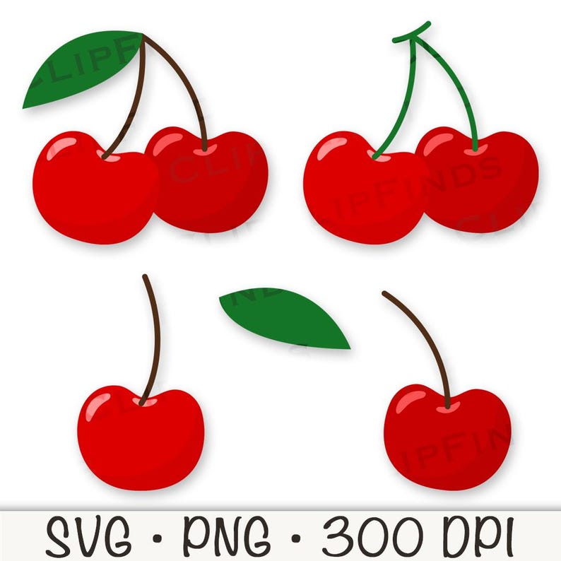 Cherries SVG, Cherries PNG, Cherries Clipart, Single Cherry, Paired ...