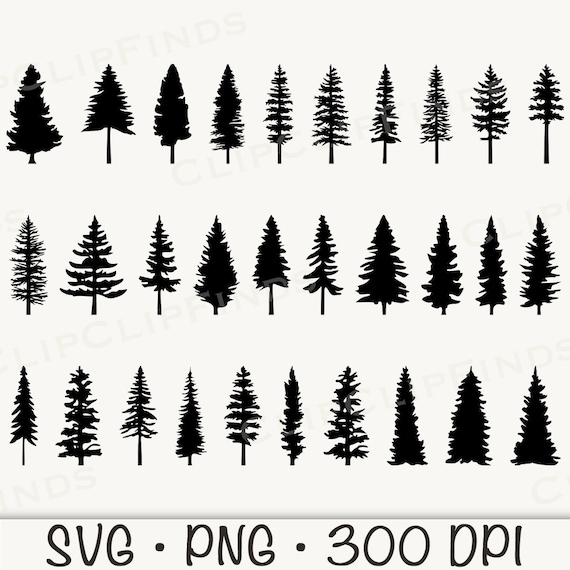 Evergreen Forest Silhouette