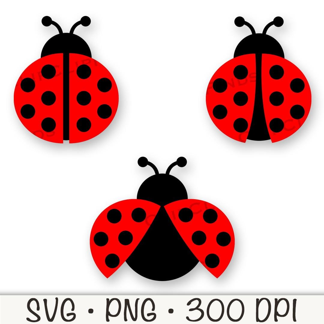 Ladybug SVG, Ladybug PNG, Ladybug Clipart, Digital Download File - Etsy