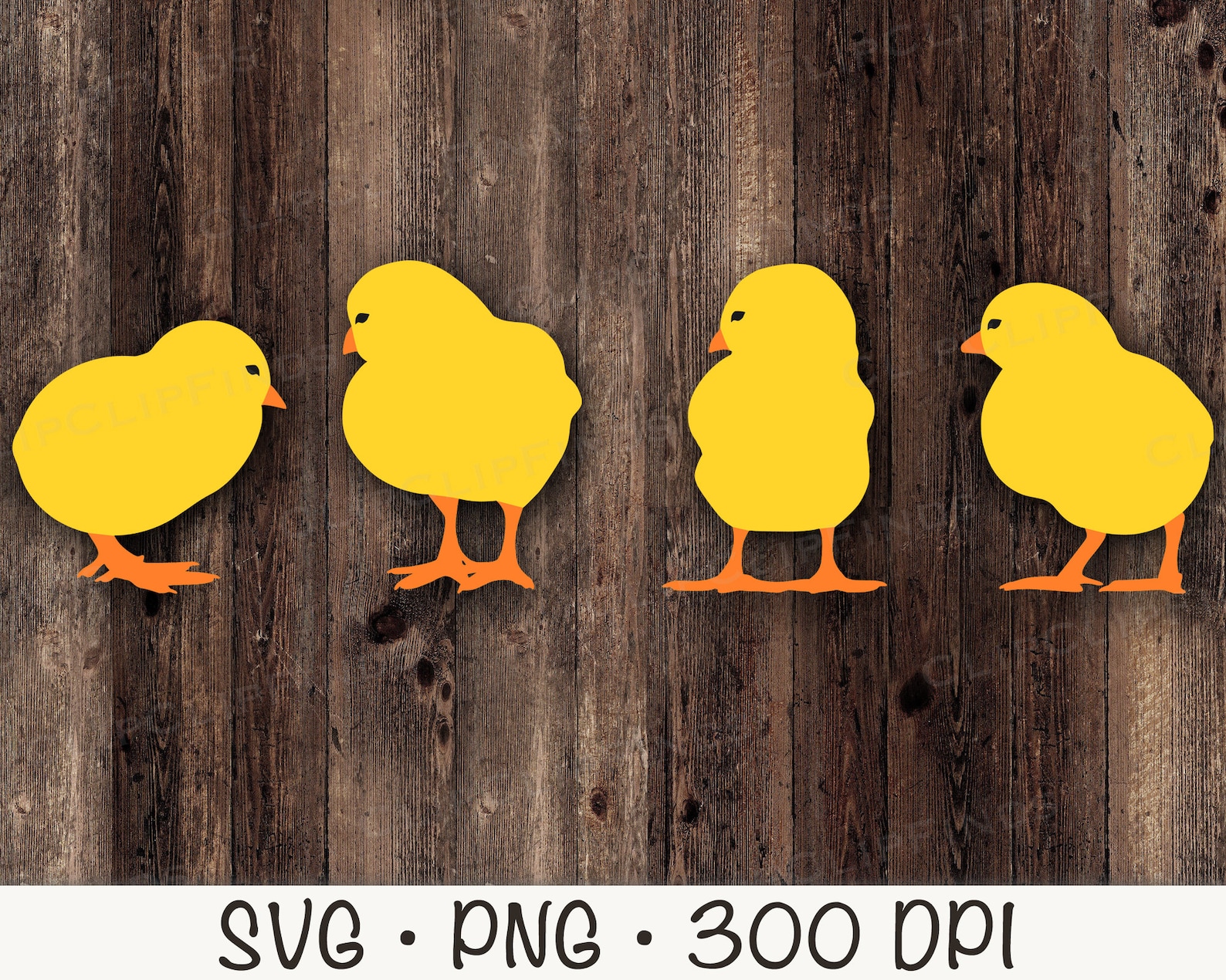 Chicks SVG, Baby Chicken PNG, Baby Chicks Clipart, Instant Digital ...