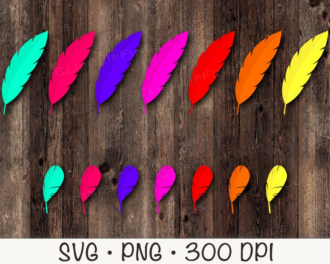 Feather SVG, Bright Colorful Feathers, Vector Cut File and PNG ...