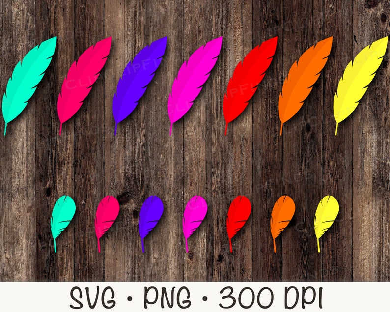 Feather SVG Bright Colorful Feathers Vector Cut File and PNG - Etsy