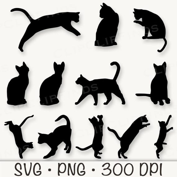 Silhouet Van Een Katje