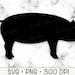 Pig SVG Vector Cut File and PNG Transparent Background Instant Download ...