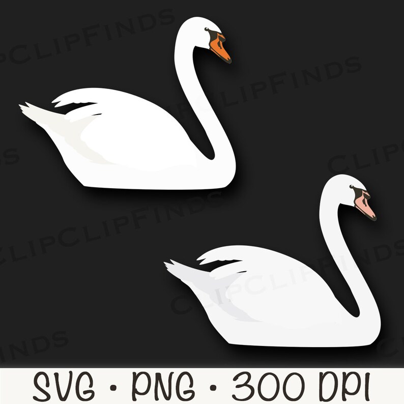 Swan SVG, Swan PNG, Swan Clipart, Digital Download - Etsy