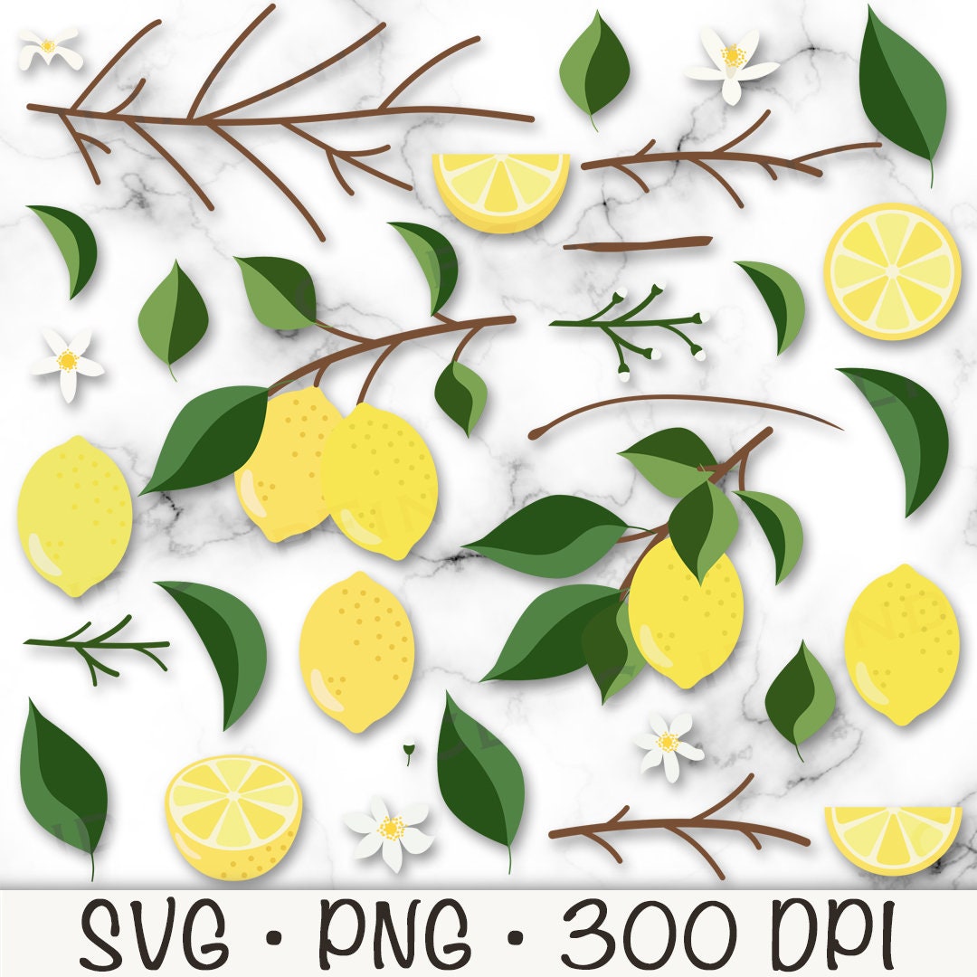 Lemon Clipart Bundle Pack, Lemon Branch SVG, Lemon Elements, DIY, Half ...
