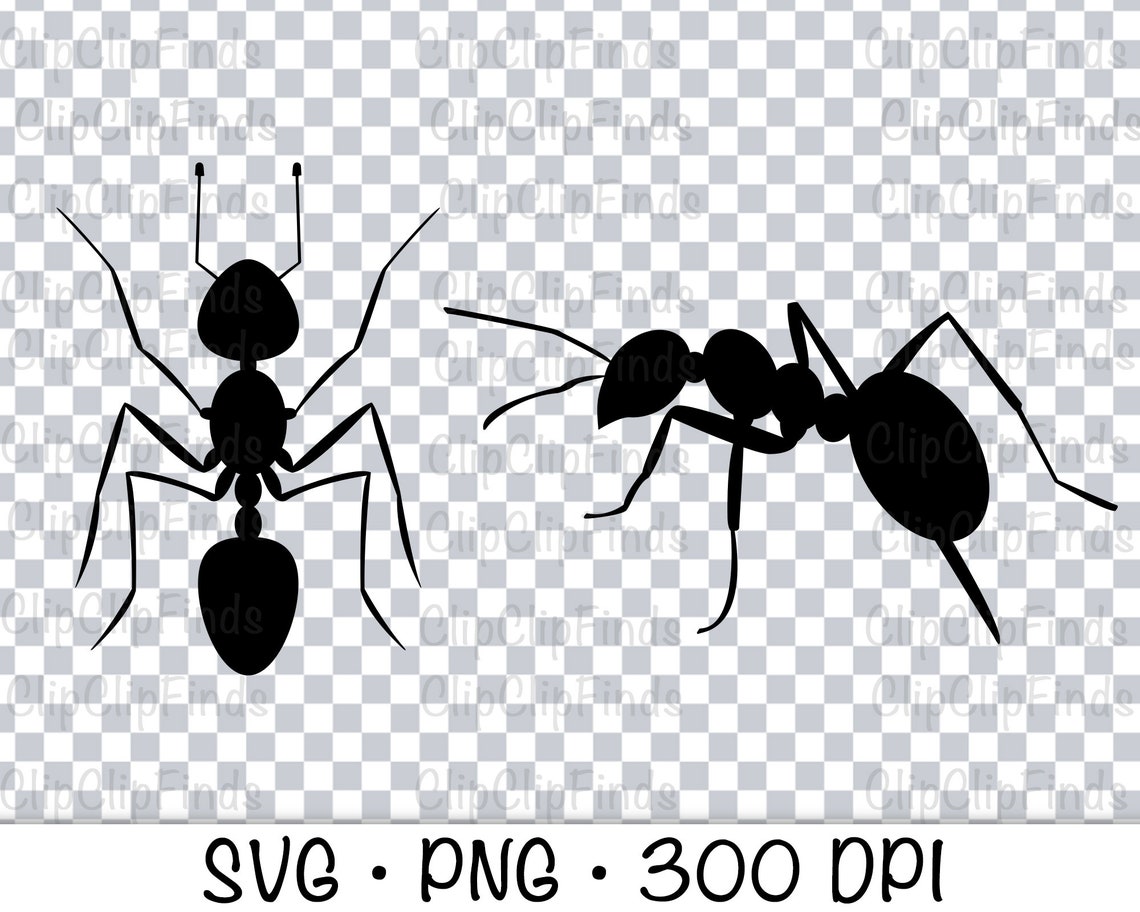 Ant SVG PNG Clipart Instant Digital Download - Etsy