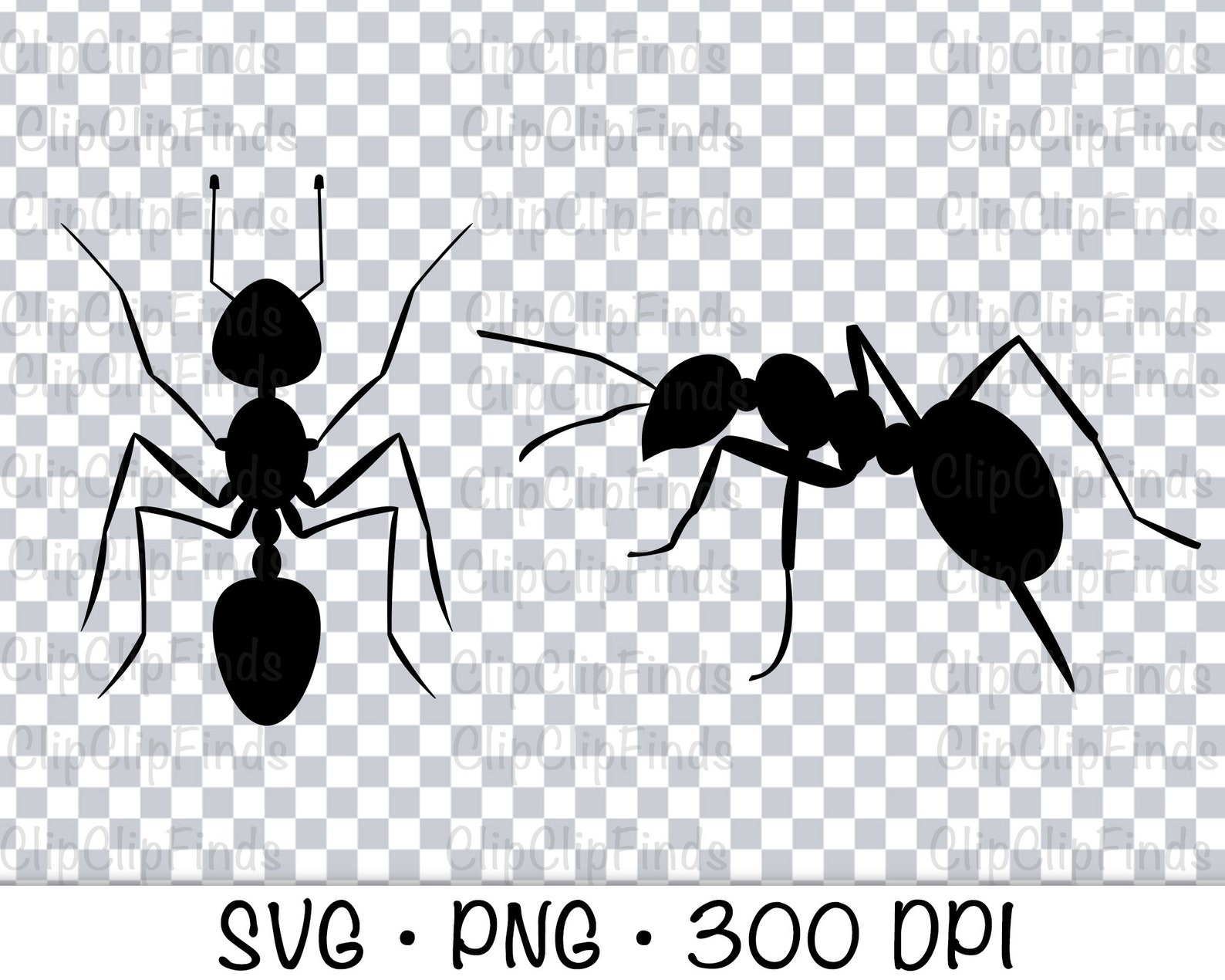Ant SVG PNG Clipart Instant Digital Download - Etsy