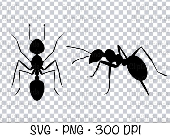 Colony Of Ants Clipart Free