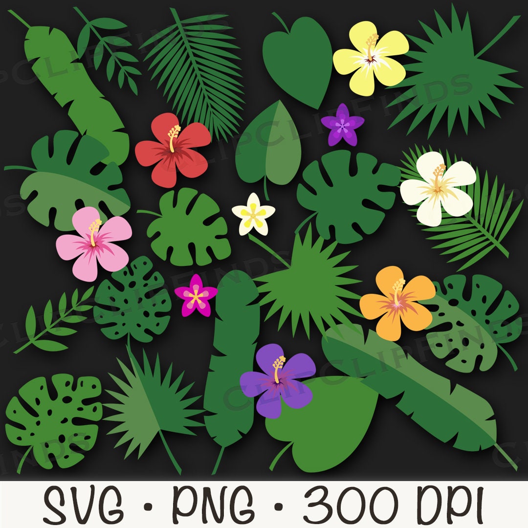 Flowers SVG, Hibiscus PNG, Tropical Flowers SVG, Plumeria, Hawaiian ...