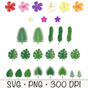 Flowers SVG, Hibiscus PNG, Tropical Flowers SVG, Plumeria, Hawaiian ...