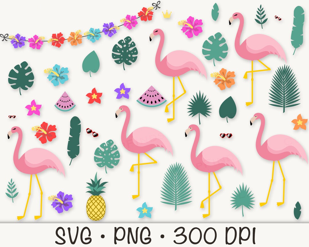 Floral Flamingo Clipart Bundle: SVG, PNG (300 DPI) - Etsy