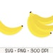 Banana SVG, Bunch of Bananas, Banana Clipart, Banana PNG, Single Banana ...