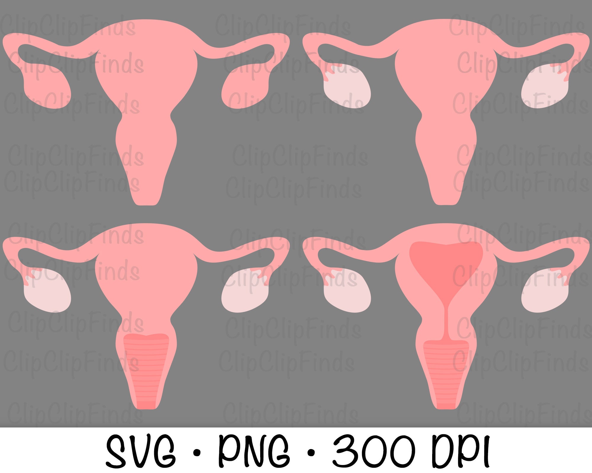 Uterus Ovaries Organ SVG PNG Clip Art Sublimation - Etsy