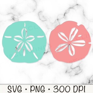 Sand Dollar SVG, Sand Dollar PNG, Sand Dollar Clipart, Seashell, Beach ...