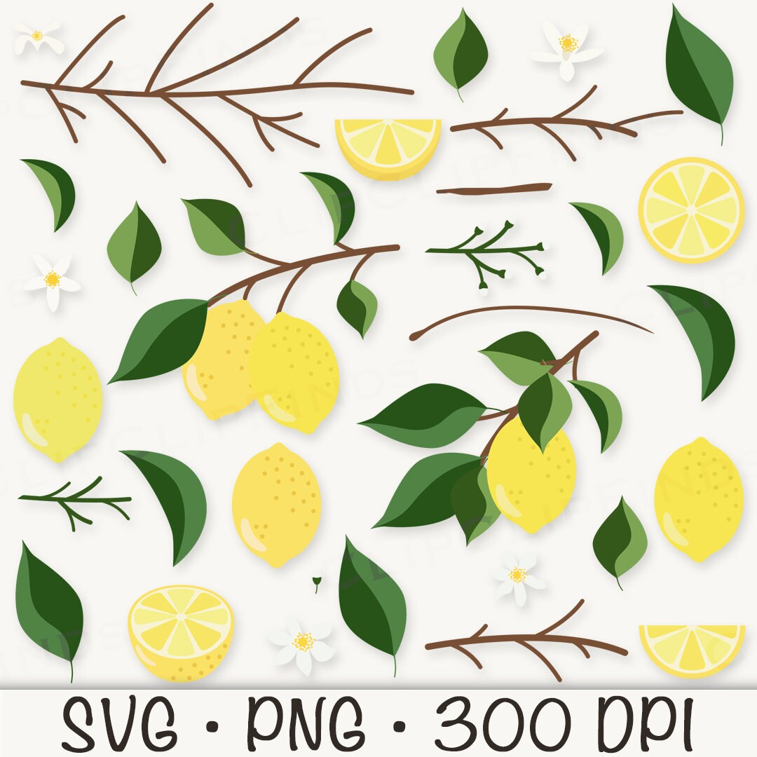 Lemon Clipart Bundle Pack, Lemon Branch SVG, Lemon Elements, DIY, Half ...