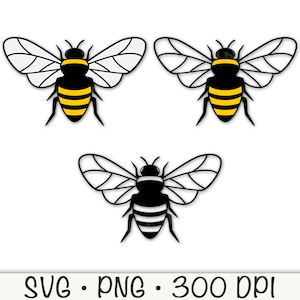 Bee SVG, Bee PNG, Bee Clipart, Honey Bee, Bee Bundle Pack, Bee Graphics ...